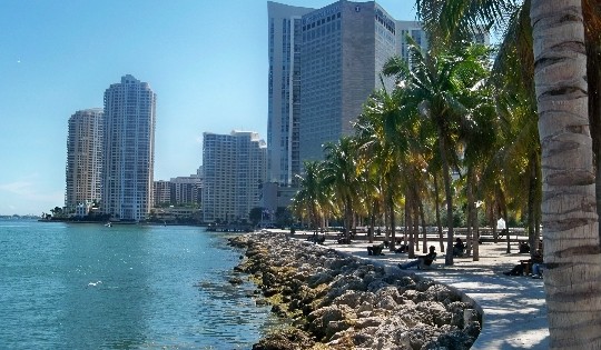 Streets of Miami - photo, name. List of famous streets in Miami