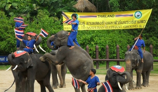 Bangkok Zoo - Fotos, Preis, Öffnungszeiten. Wie komme ich zum Zoo in ...