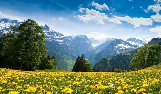 Vacaciones en Suiza en abril: precios y clima. Dónde relajarse en Suiza ...