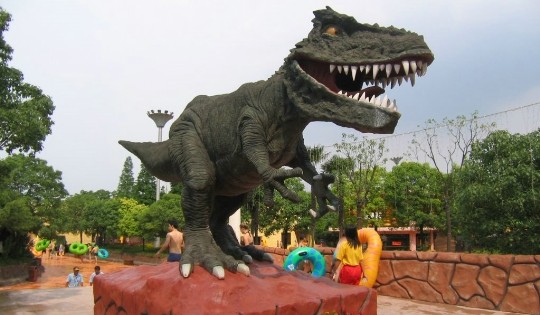 Water parks in Shanghai - photos, prices, description